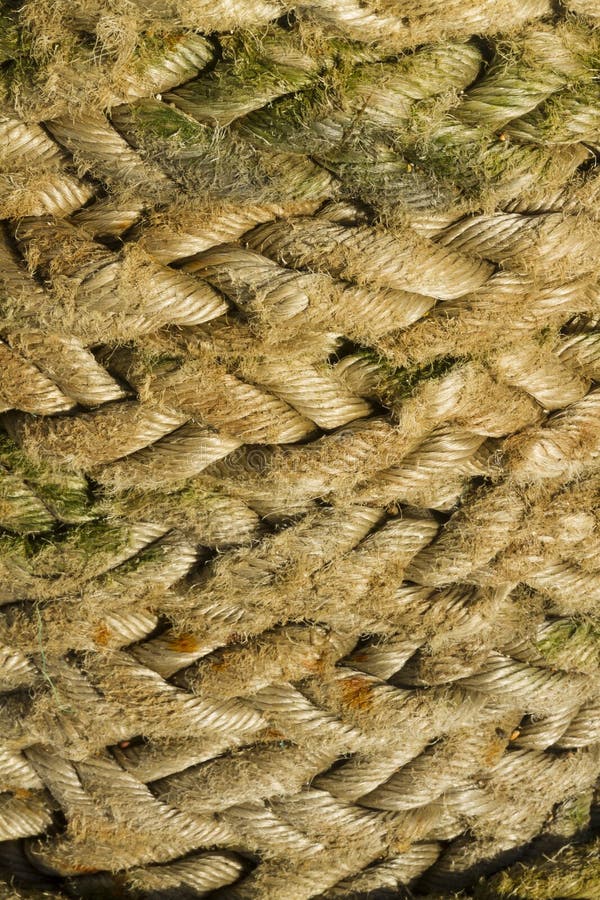 Old Thick Rope, macro stock photo. Image of twine, rope - 41003496
