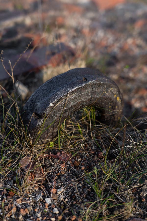 An Old Rusty Ax Sticks Out of a Stump. Stock Photo - Image of lumber ...