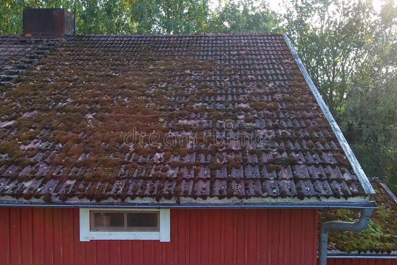 Moss-covered tile roof stock image. Image of moss, problem - 125516469
