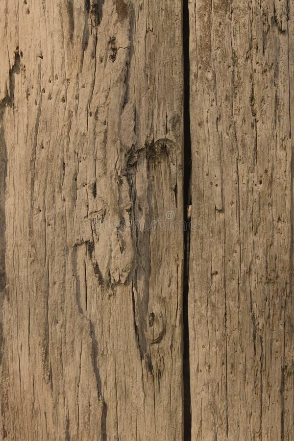 Old timber stock photo. Image of grain, detail, stains - 3635918