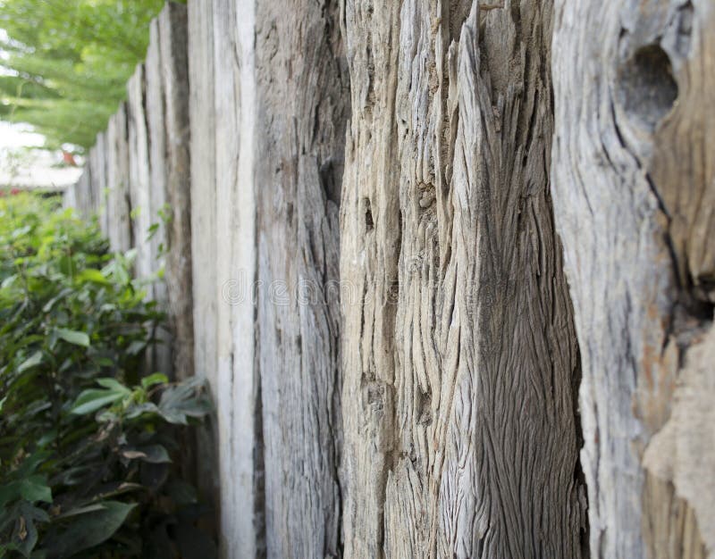 Old timber fence stock image. Image of grasses, field - 41263167