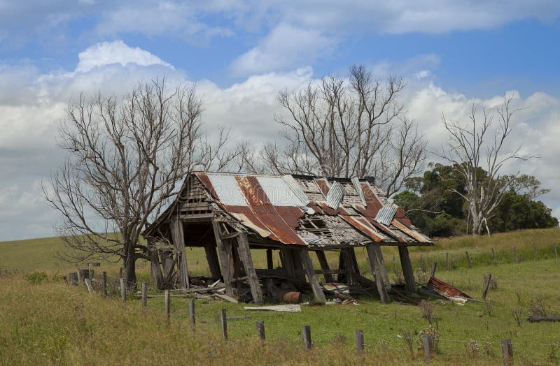 Rusted Timber Trees Stock Photos - Free & Royalty-Free Stock Photos ...