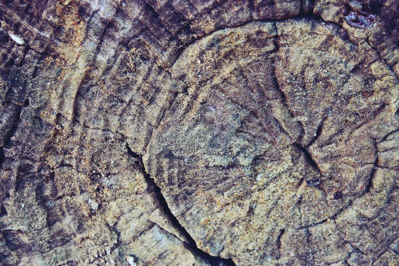 Old Timber Texture Background Stock Photo - Image of blank, brown ...