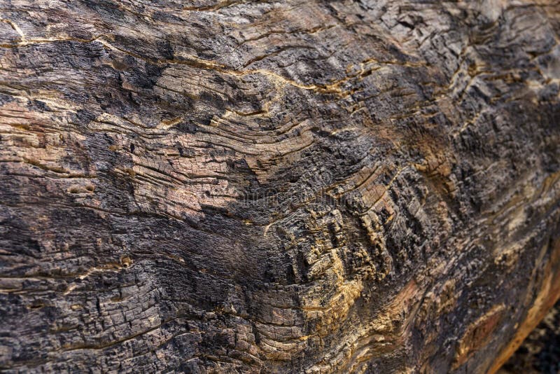 Old Timber Textures Have Burn Marks and Cracks Stock Image - Image of ...