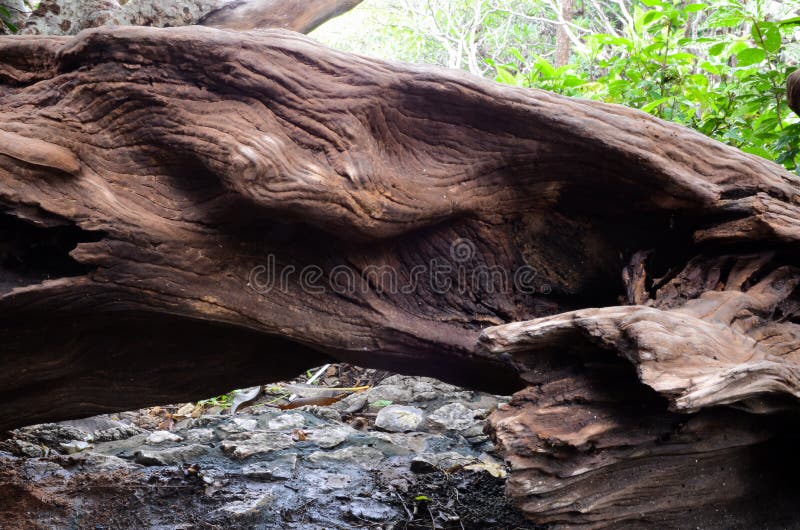 Old timber stock photo. Image of wall, roughdistressed - 53052280