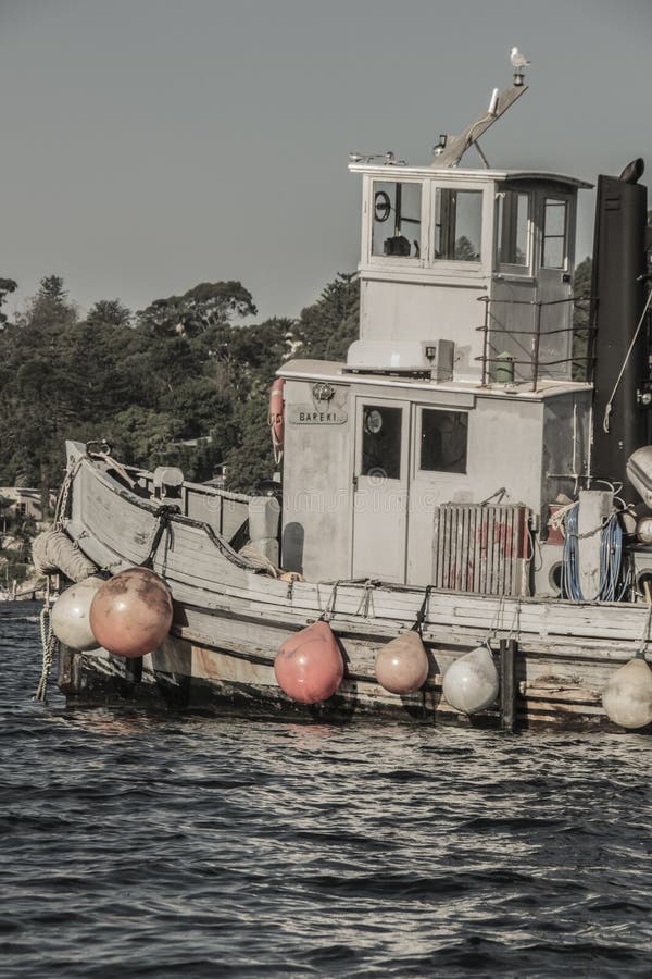 Old timer editorial stock photo. Image of story, fish - 92286283