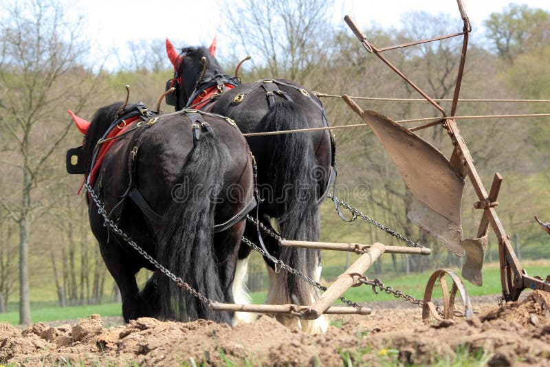 Old times field work stock image. Image of work, agriculture - 35088013