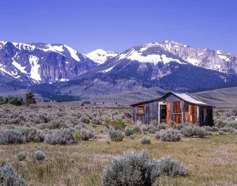 Old Tin roofed cabin stock image. Image of tumbleweed - 180395887
