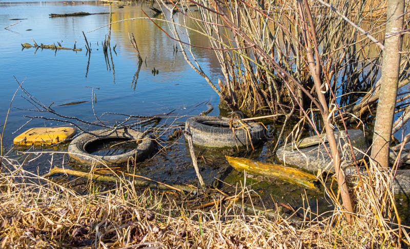 Old Tires, Debris & Garbage Thrown into Pond Stock Photo - Image of ...