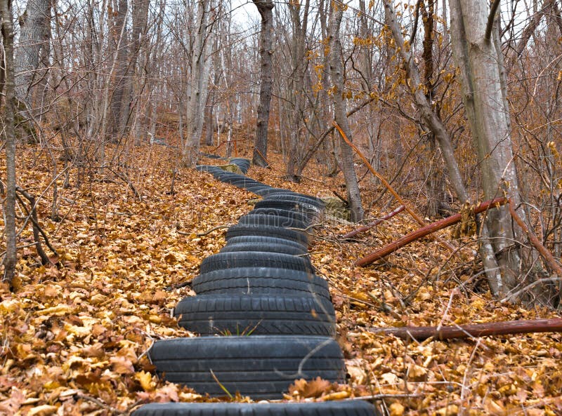 Old Tires Making Way through an Autumn Forest Stock Photo - Image of ...