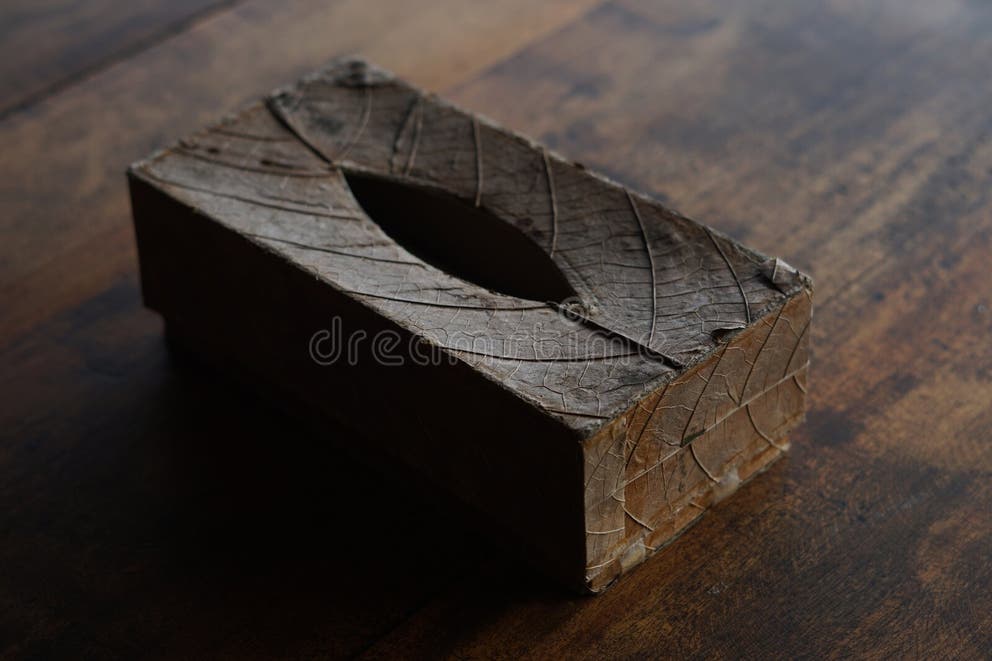 Old Tissue Box stock photo. Image of tissue, leaf, gorgeous - 300270982