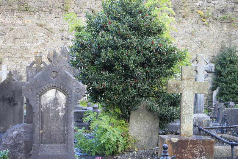 Old tombstone stock photo. Image of canice, historical - 83199764