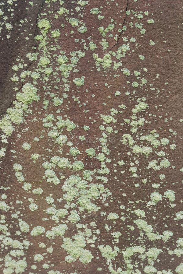 Texture - old tombstone stock photo. Image of unevenly - 55524074