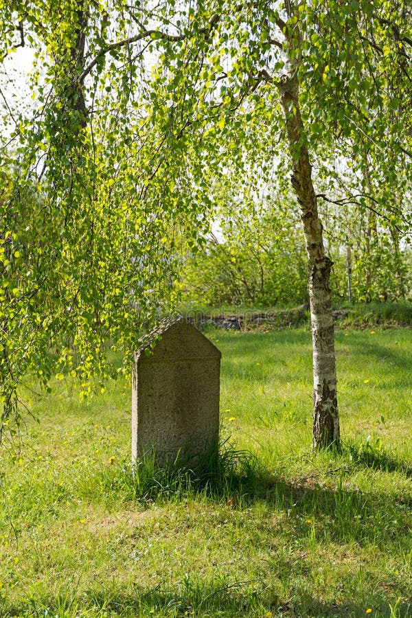 Blank Gravestone Under A Tree Stock Photo - Image of tombstone, dirty ...