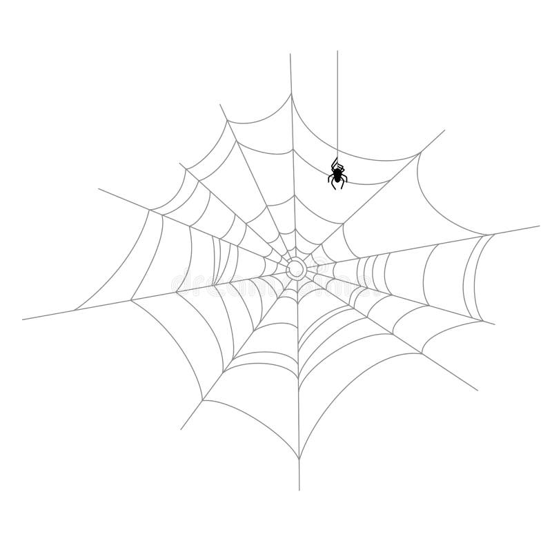 Torn Spider Stock Illustrations – 268 Torn Spider Stock Illustrations ...