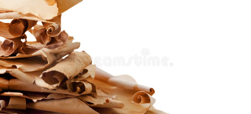 Old Torn Paper Scroll Isolated on a White Background Stock Image ...