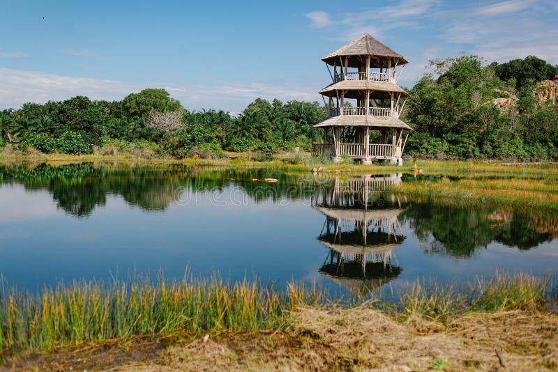 Old Tower near the lake stock photo. Image of river - 261955422