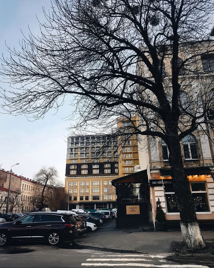 Cross the road editorial photography. Image of city - 108539232