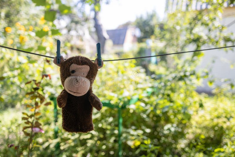 An Old Toy Monkey Hanging on a Drying Line Stock Image - Image of funny ...