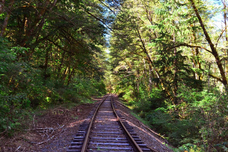 1,643 Train Tracks Woods Stock Photos - Free & Royalty-Free Stock ...