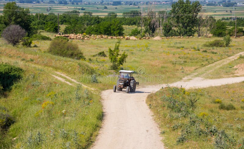 Old tractor stock photo. Image of farmland, environmental - 43313572