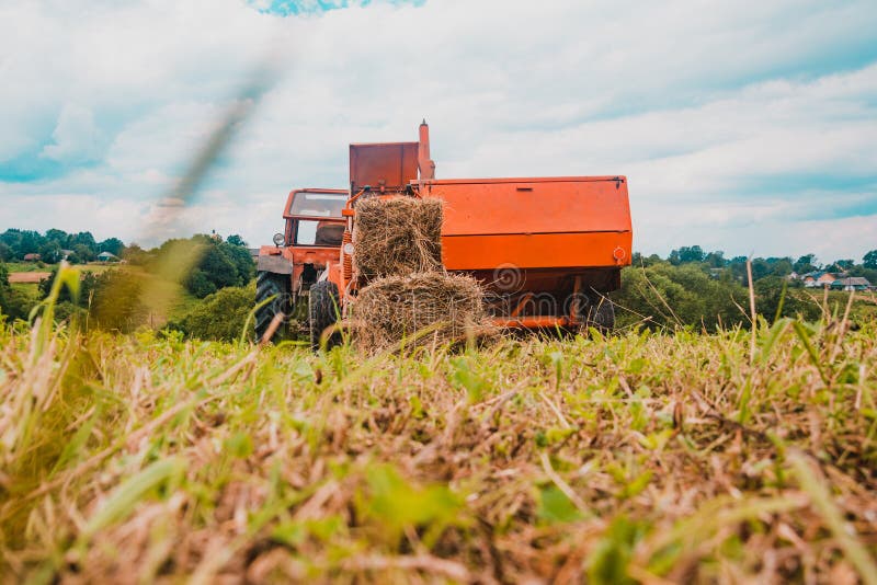 Old Red Tractor in the Field during the Haymaking Season, Pressing Hay ...