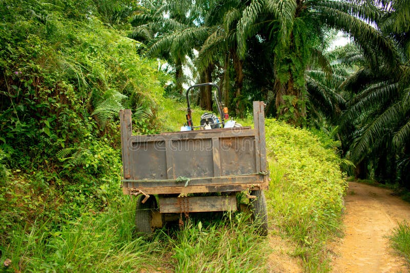 Old Tractor with Loading Carrier Stock Image - Image of palm, meaning ...