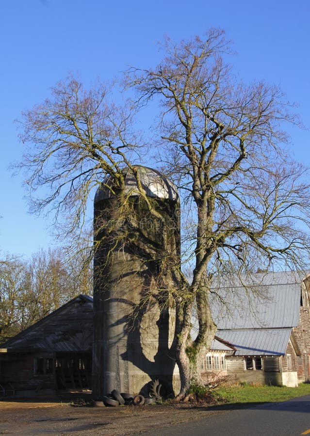 Old, Traditional Grain Silo and Tree Stock Photo - Image of season ...