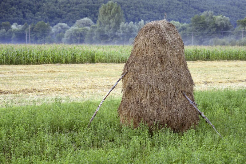 Old Traditional Romanian Haystack Stock Photo - Image of crop, blooming ...