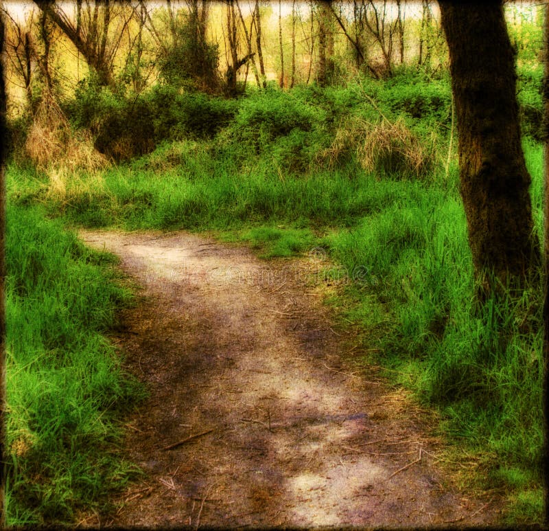 Green grass stock photo. Image of springtime, green, grow - 323606