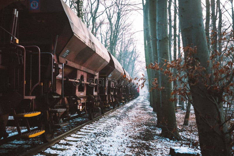 An Old Train Passes through a Forest with Snow in Winter. the Wagons ...
