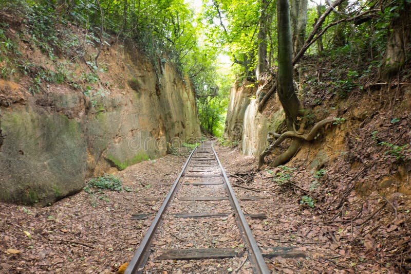 Old Train Rails Cross the Forest Stock Photo - Image of landscape ...