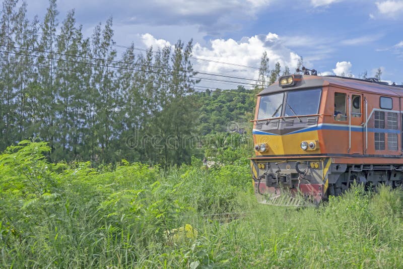 The Old Train Ran through the Forest Editorial Stock Photo - Image of ...