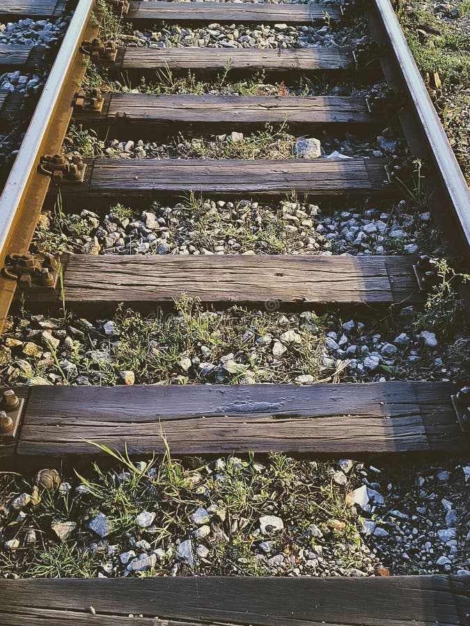 Old train tracks stock photo. Image of water, wood, transport - 362098068