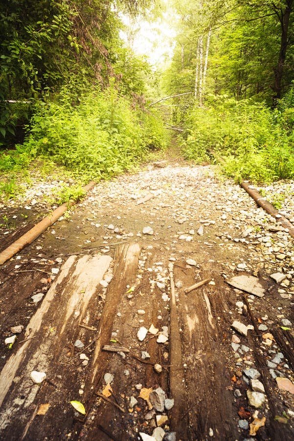 Hidden Train Track Stock Photos - Free & Royalty-Free Stock Photos from ...