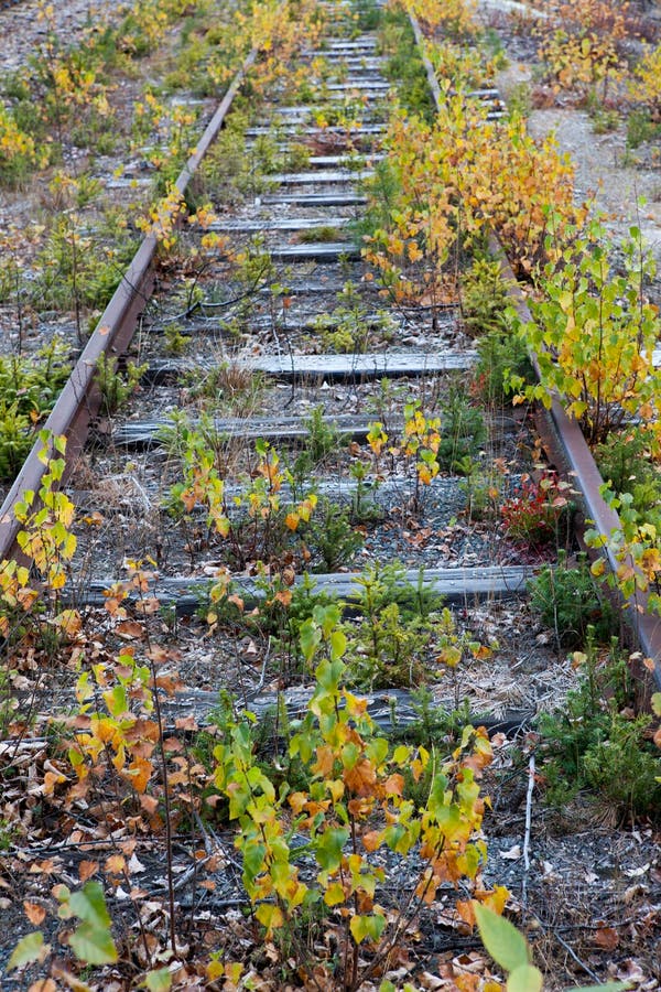 Old train tracks stock image. Image of railroad, eastern - 34610821
