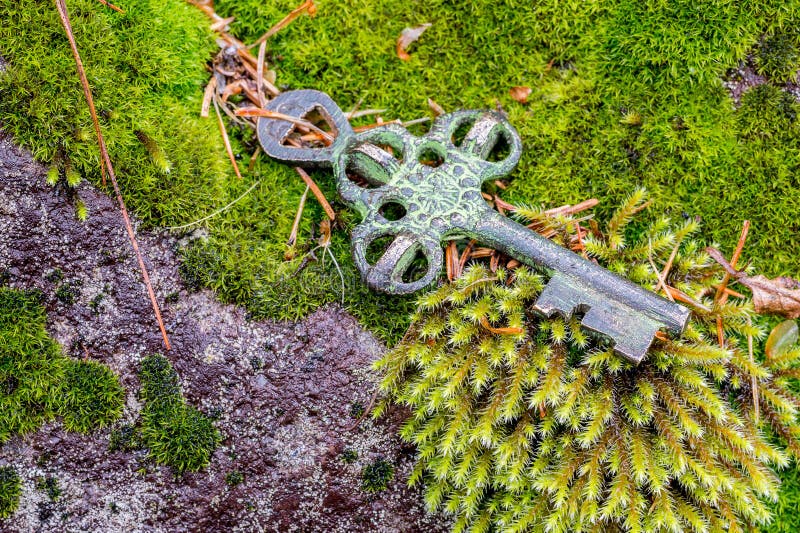Treasure Key Lost on Rock at the Beach Stock Photo - Image of rock ...