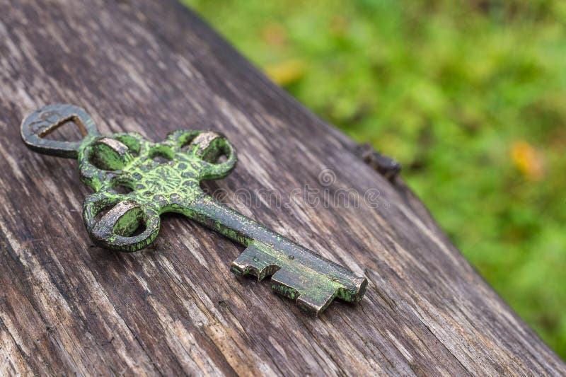 Old treasure key stock photo. Image of forest, metallic - 60214292