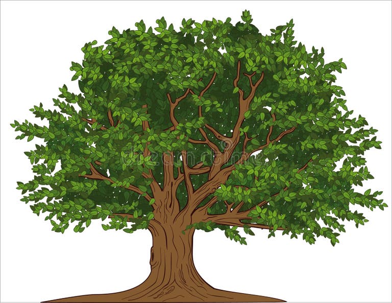Old tree stock vector. Illustration of land, plant, genealogical - 17409193