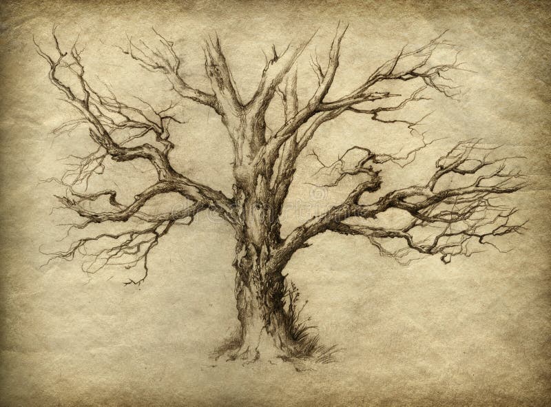 Old Tree stock illustration. Illustration of rustic, horizontal - 21879986