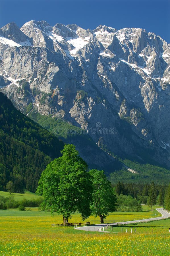 Spring in alpine valley stock photo. Image of grass, growing - 2021762
