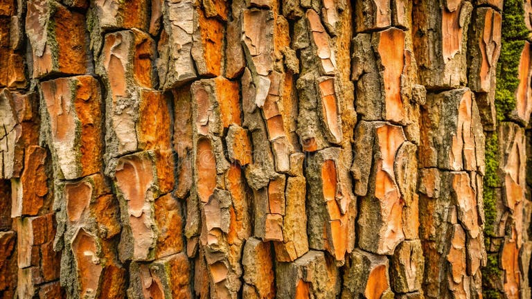 Surface Micro Stock Illustrations – 9,844 Surface Micro Stock ...