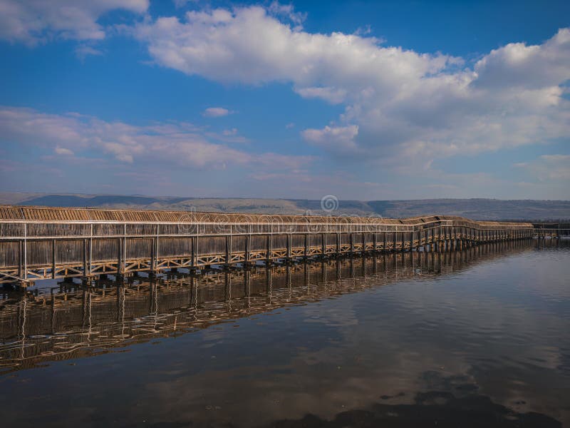 Old Tree Bridge Over the Water To the Nature Reserve Stock Photo ...