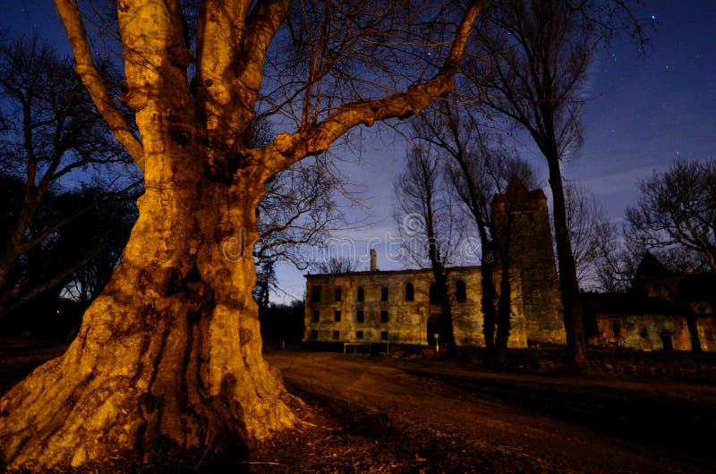 Old Tree in Castle with Stars Stock Photo - Image of heaven, nature ...