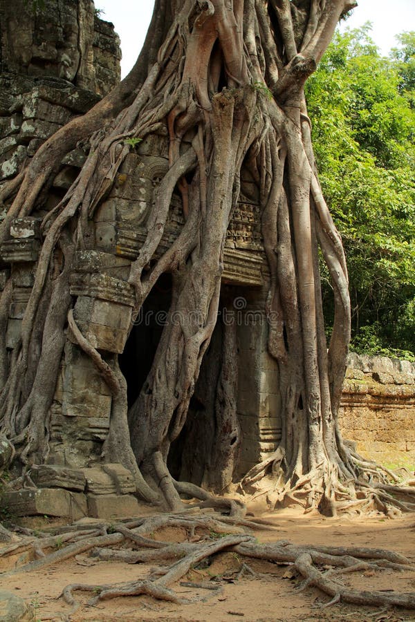 942 Roots Gate Stock Photos - Free & Royalty-Free Stock Photos from ...