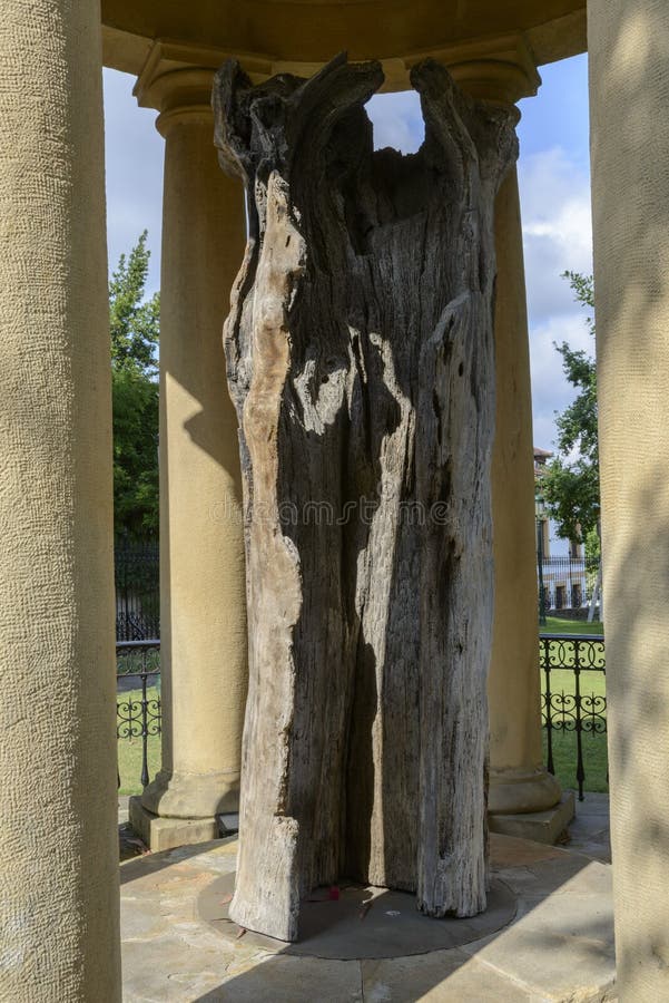 The Old Tree of Gernika stock image. Image of center - 123483429