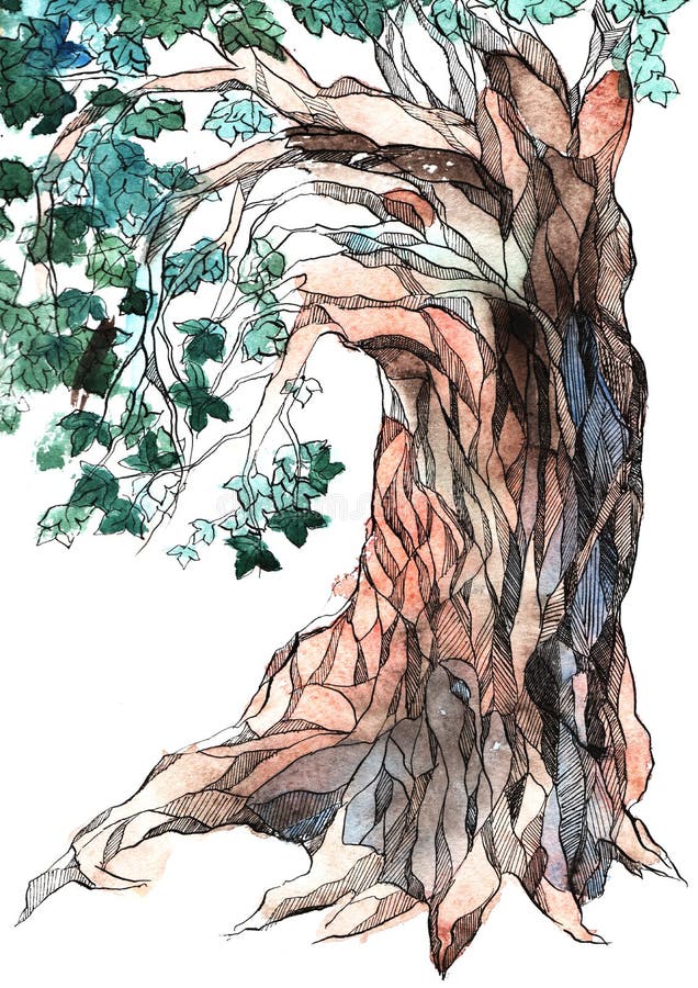 Old tree stock illustration. Illustration of boreal, outdoors - 67336563