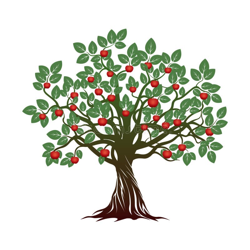 Tree Roots Fruits Stock Illustrations – 443 Tree Roots Fruits Stock ...