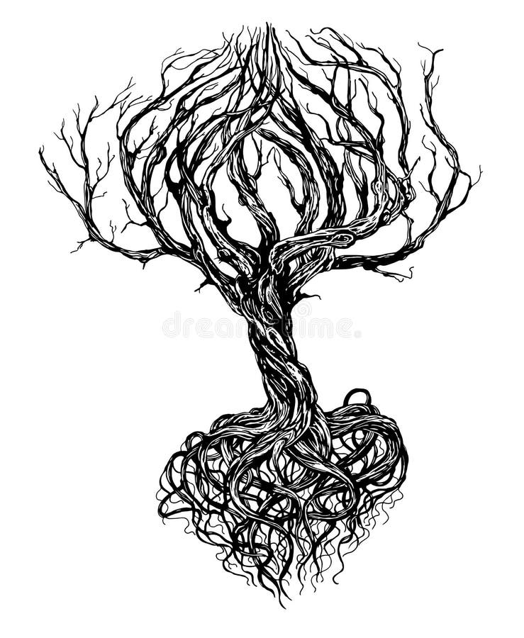 240+ Old bare tree Free Stock Photos - StockFreeImages