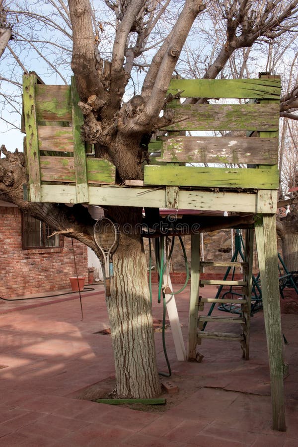 Old Tree House in the Backyard of a House Stock Photo - Image of ...